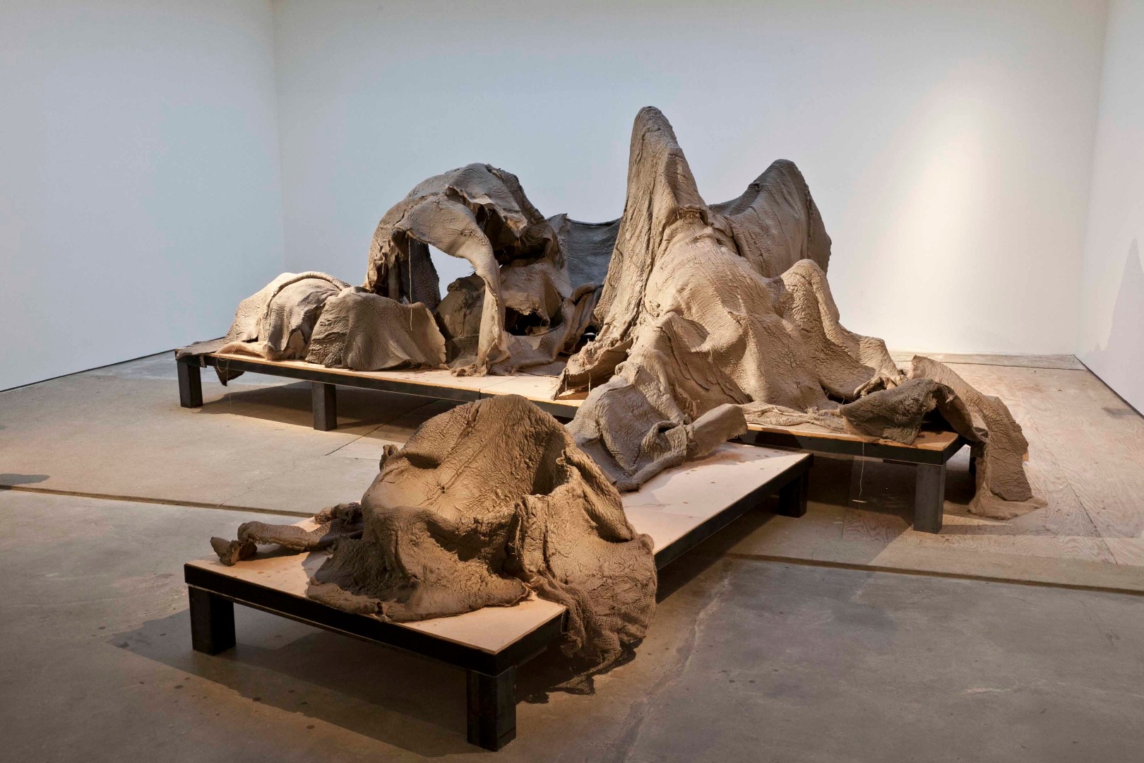 Douglas White » Saatchi Gallery