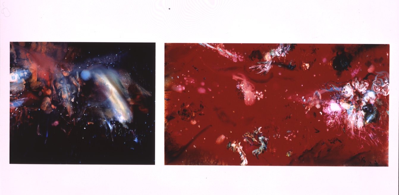 Alisa Margolis » Saatchi Gallery