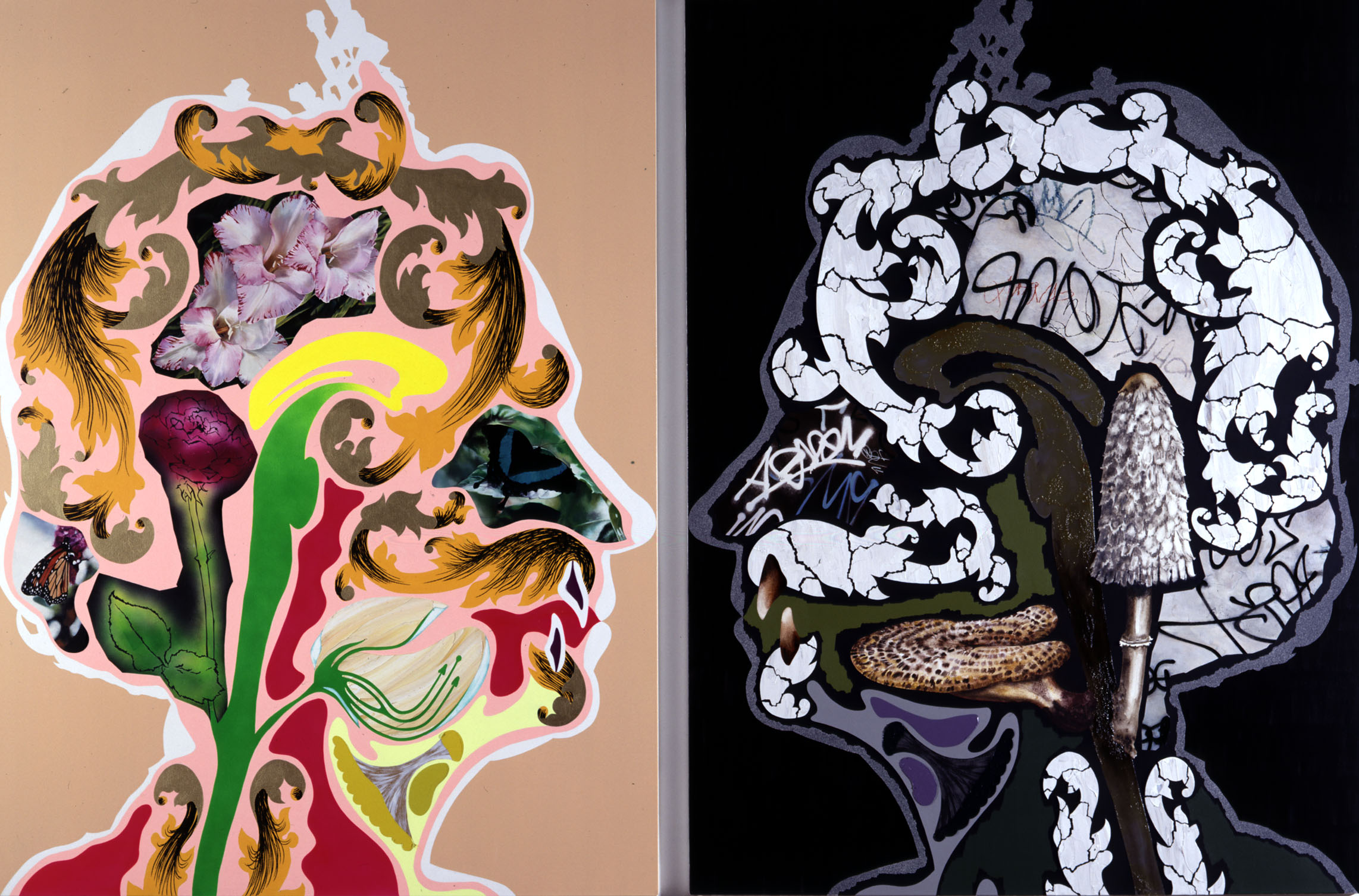 Neil Rumming » Saatchi Gallery