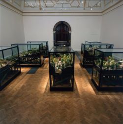 Jake and Dinos Chapman - Saatchi Gallery